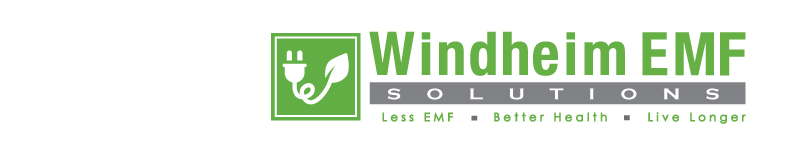 wes-final-logo-2016-vadj | Windheim EMF Solutions